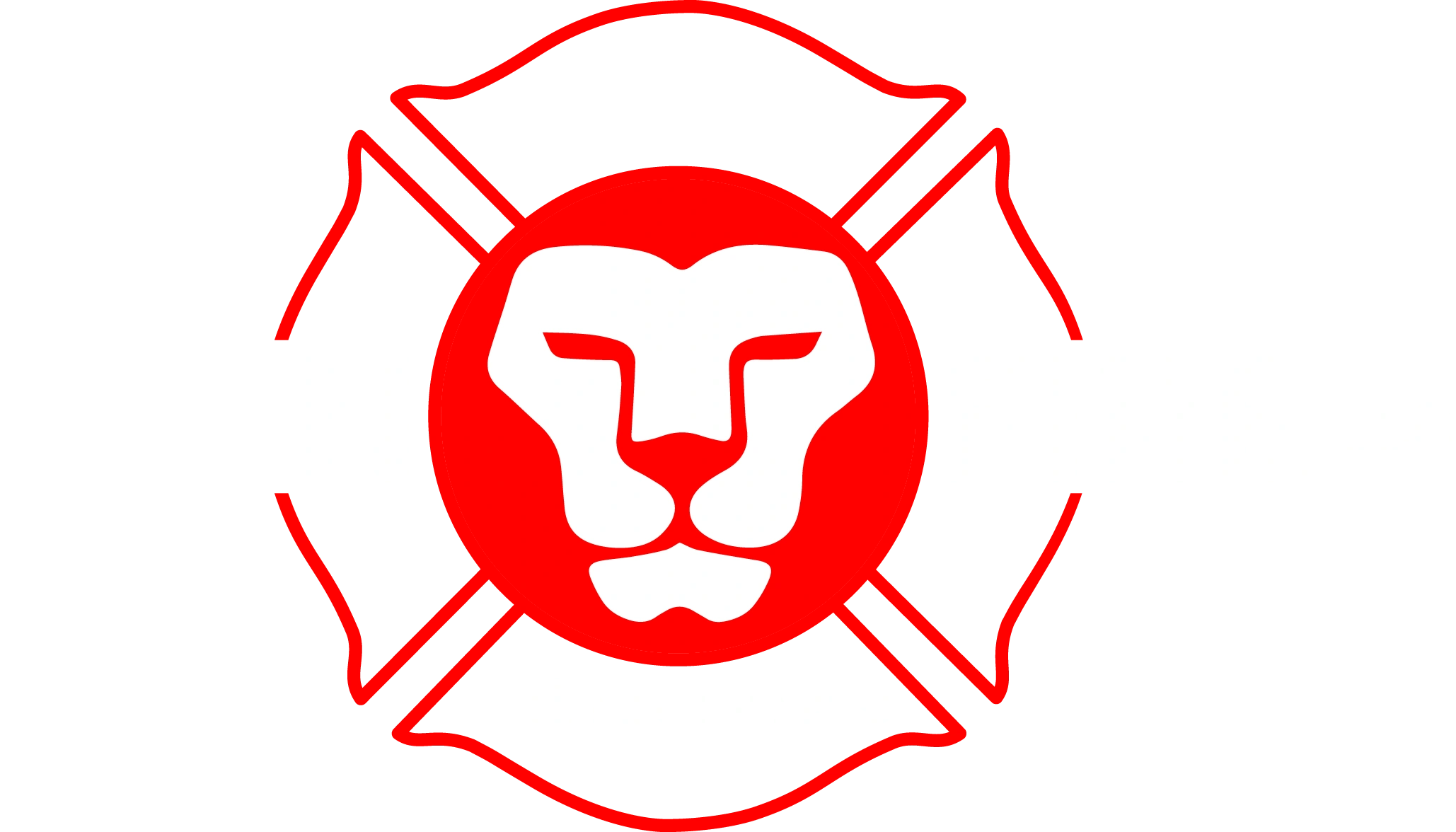 Lion Fire LLC